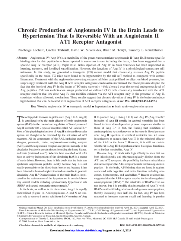 (PDF) Chronic Production of Angiotensin IV in the Brain Leads to ...