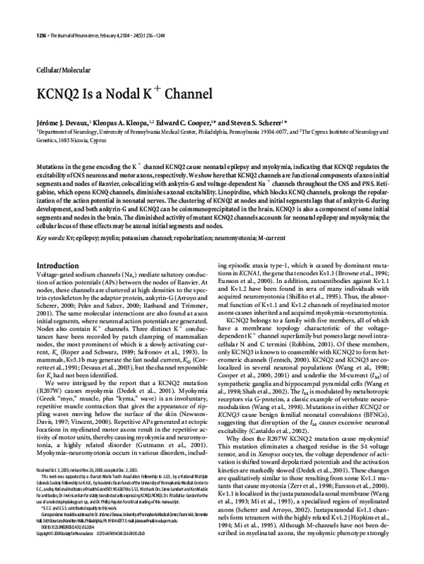 (PDF) KCNQ2 Is a Nodal K+Channel