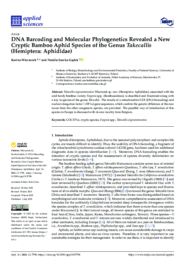 (PDF) DNA Barcoding and Molecular Phylogenetics Revealed a New Cryptic Bamboo Aphid Species of ...