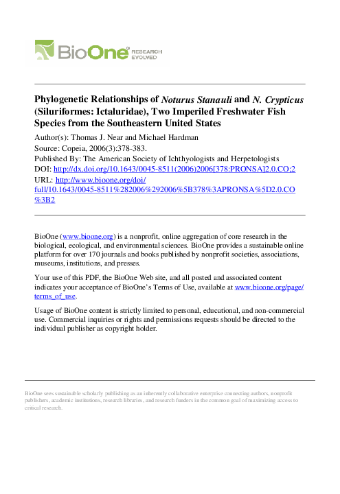 (PDF) Phylogenetic Relationships of Noturus Stanauli and N. Crypticus ...