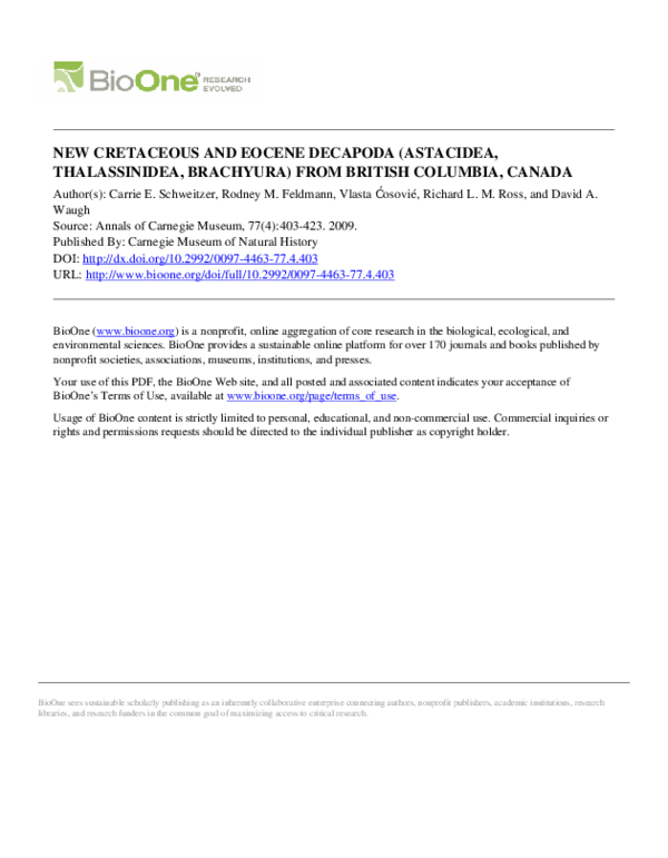 (PDF) New Cretaceous and Eocene Decapoda (Astacidea, Thalassinidea ...