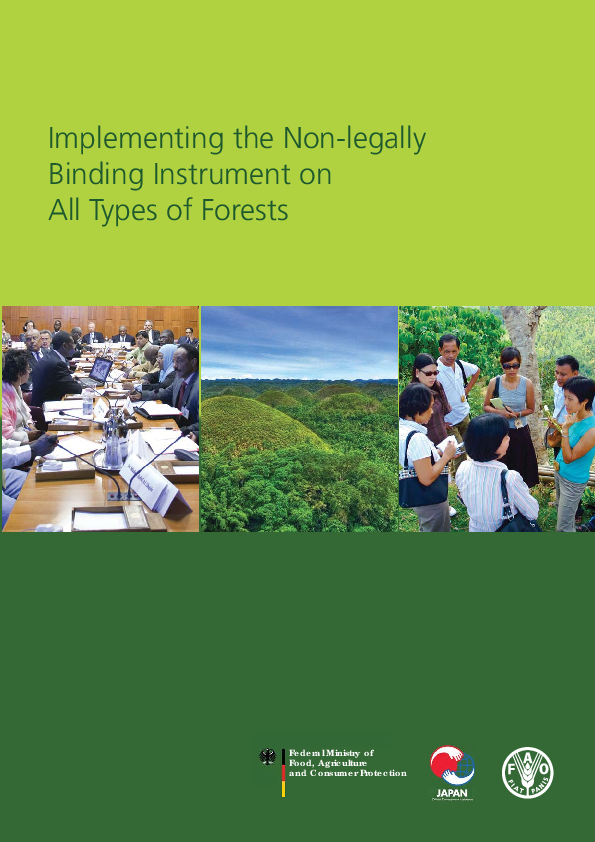 (PDF) Implementing the Non-legally Binding Instrument on All Types of ...