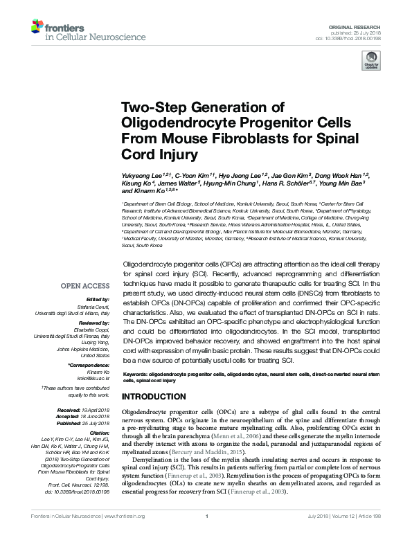 (PDF) Two-Step Generation of Oligodendrocyte Progenitor Cells From ...