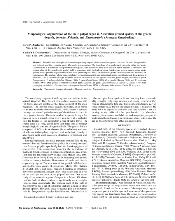 (PDF) Morphological organization of the male palpal organ in Australian ...