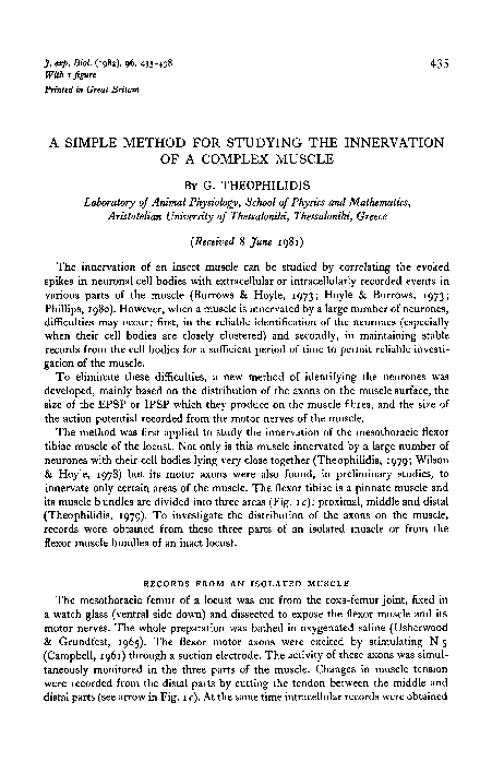 (PDF) A Simple Method for Studying the Innervation of A Complex Muscle