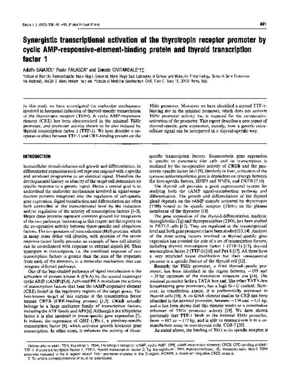 (PDF) Synergistic transcriptional activation of the thyrotropin ...