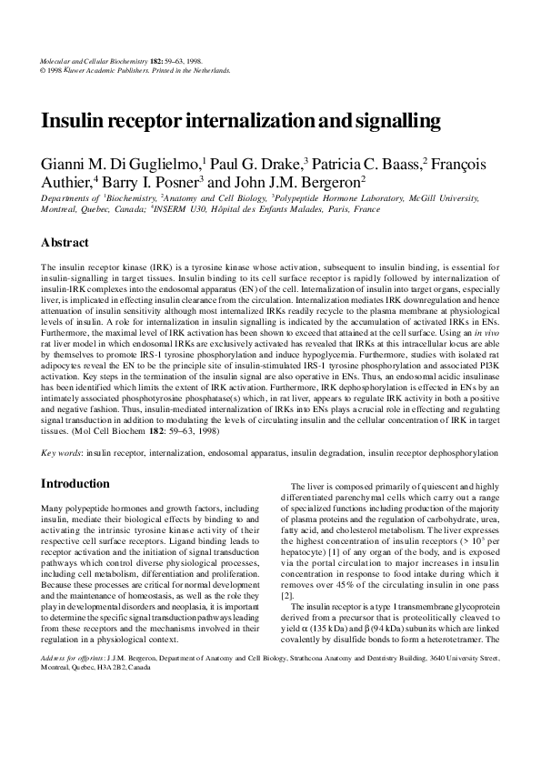 (PDF) Insulin receptor internalization and signalling