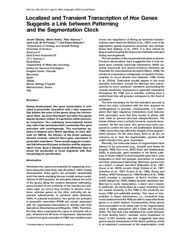 (PDF) Localized and Transient Transcription of Hox Genes Suggests a ...