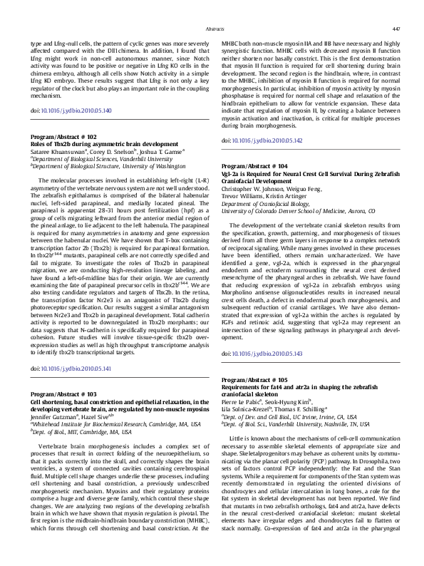 (PDF) Roles of Tbx2b during asymmetric brain development