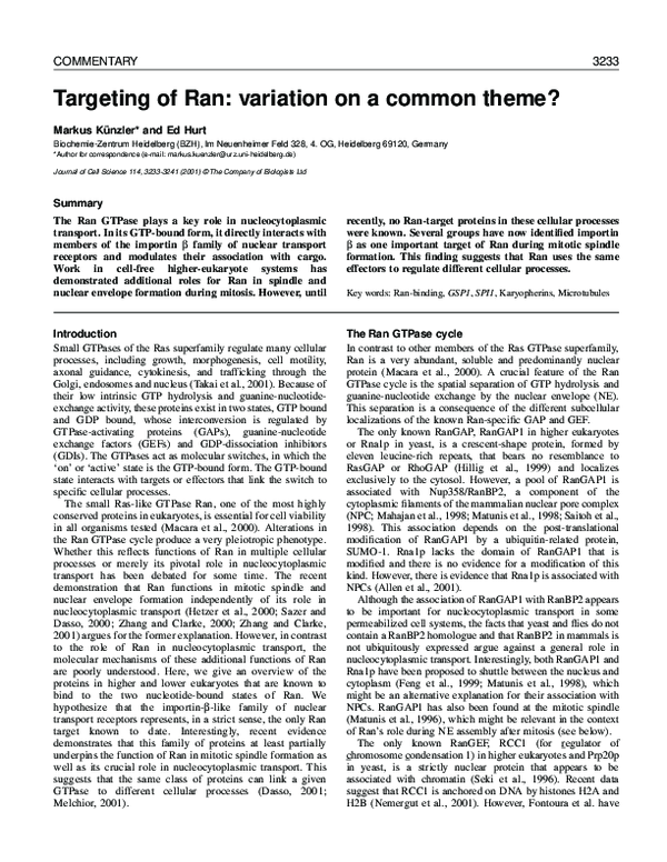 (PDF) Targeting of Ran: variation on a common theme?