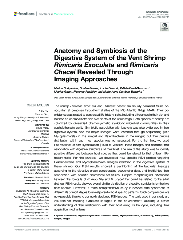 (PDF) Anatomy and Symbiosis of the Digestive System of the Vent Shrimp ...