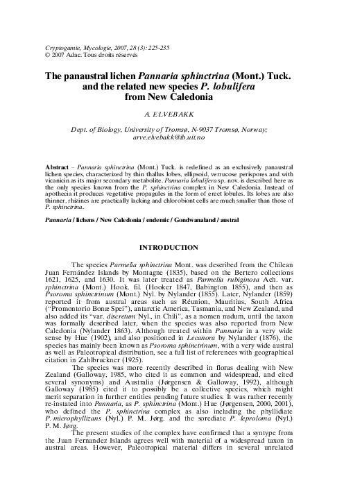 (PDF) The panaustral lichen Pannaria sphinctrina (Mont.) Tuck. and the ...