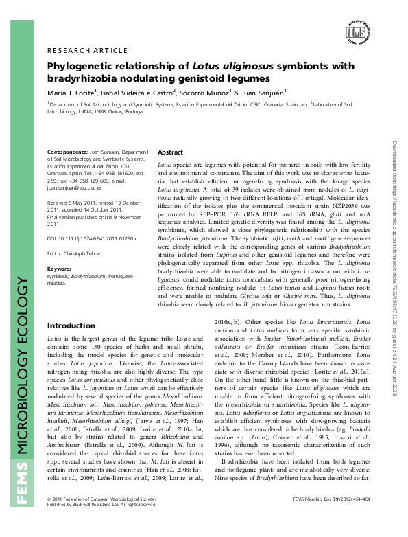 Phylogenetic relationship of Lotus uliginosus symbionts with ...