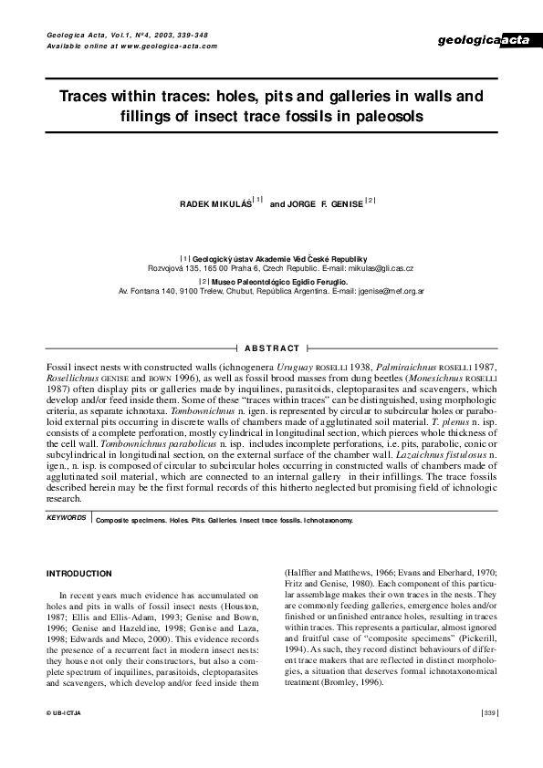 (PDF) Traces within traces : holes, pits and galleries in walls and ...