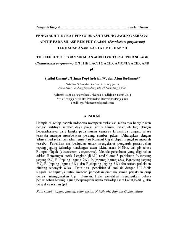 (PDF) PENGARUH TINGKAT PENGGUNAAN TEPUNG JAGUNG SEBAGAI ADITIF PADA SILASE RUMPUT GAJAH ...