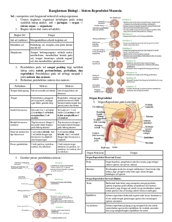 (PDF) Rangkuman Biologi -Sistem Reproduksi Manusia