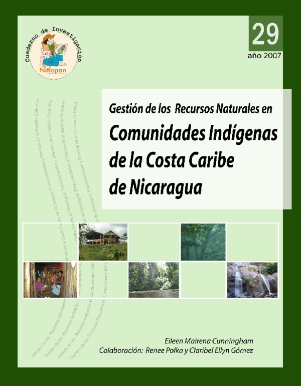(PDF) Gestión de los recursos naturales en comunidades indígenas de la ...