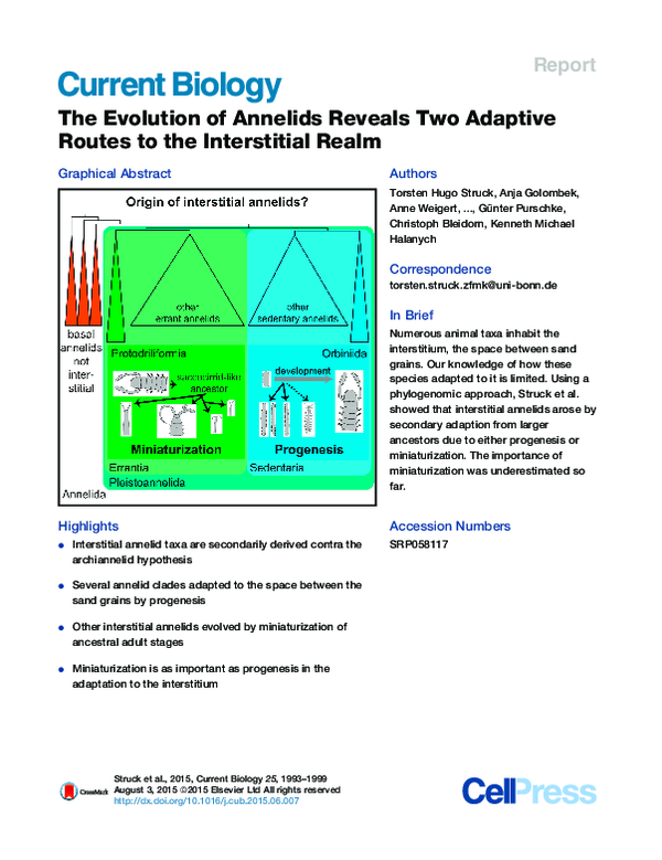 (PDF) The Evolution of Annelids Reveals Two Adaptive Routes to the ...