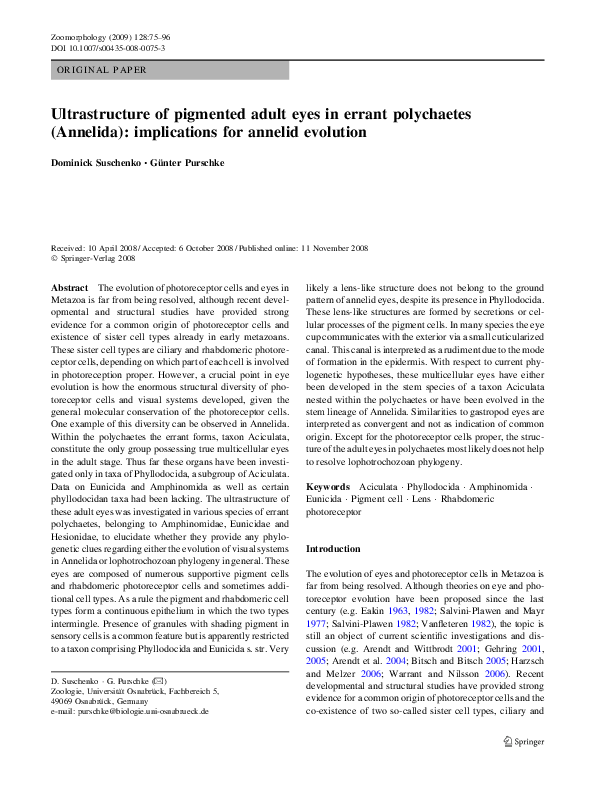 (PDF) Ultrastructure of pigmented adult eyes in errant polychaetes ...
