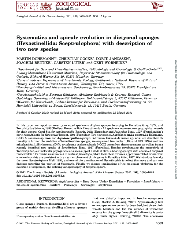 (PDF) Systematics and spicule evolution in dictyonal sponges ...