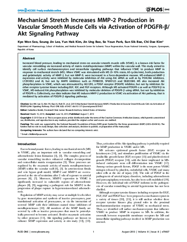 (PDF) Mechanical Stretch Induces MMP-2 via PDGFR-β/Akt Pathway