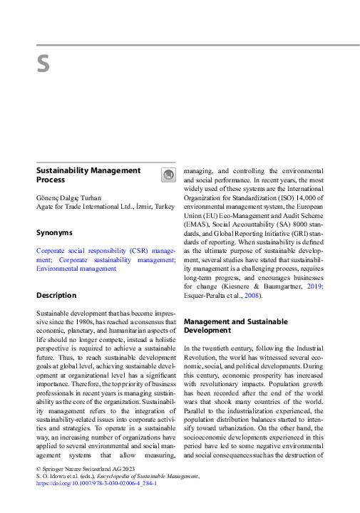 (PDF) Sustainability Management Process