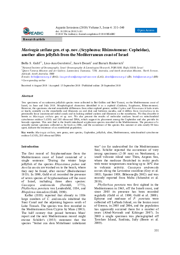 (PDF) Marivagia stellata gen. et sp. nov. (Scyphozoa: Rhizostomeae ...
