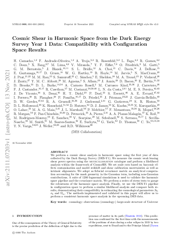 (PDF) Cosmic shear in harmonic space from the Dark Energy Survey Year 1 ...
