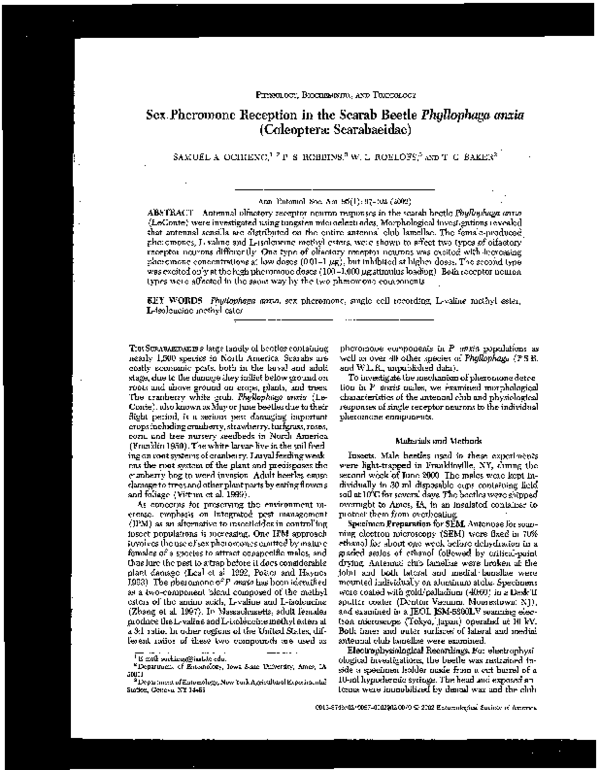 (PDF) Sex Pheromone Reception in the Scarab Beetle Phyllophaga anxia ...