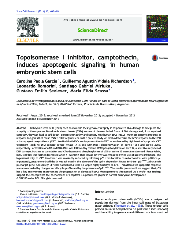 (PDF) Topoisomerase I inhibitor (camptothecin)-induced apoptosis in ...