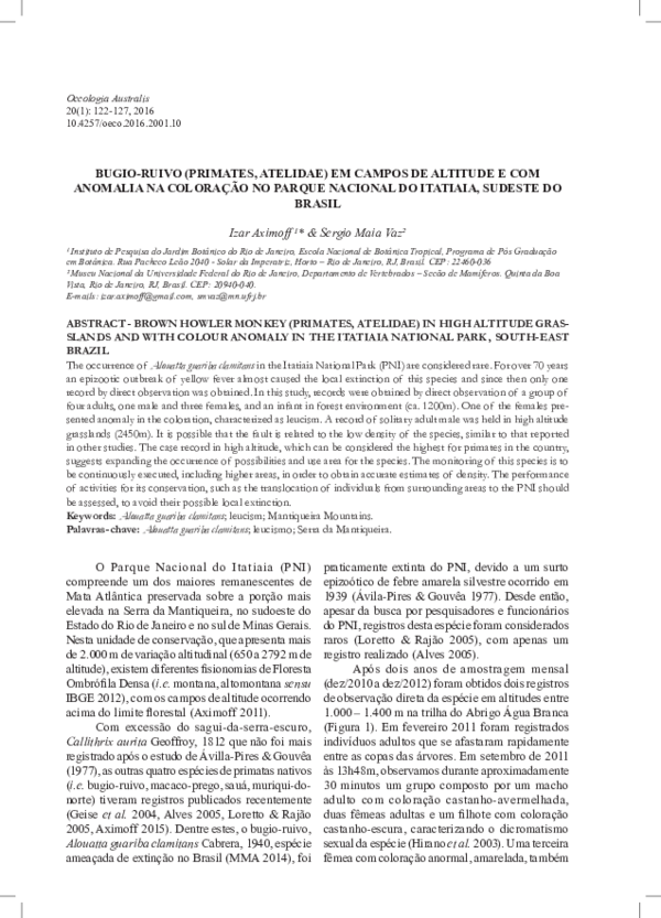 (PDF) Brown Howler Monkey (Primates, Atelidae) in High Altitude ...