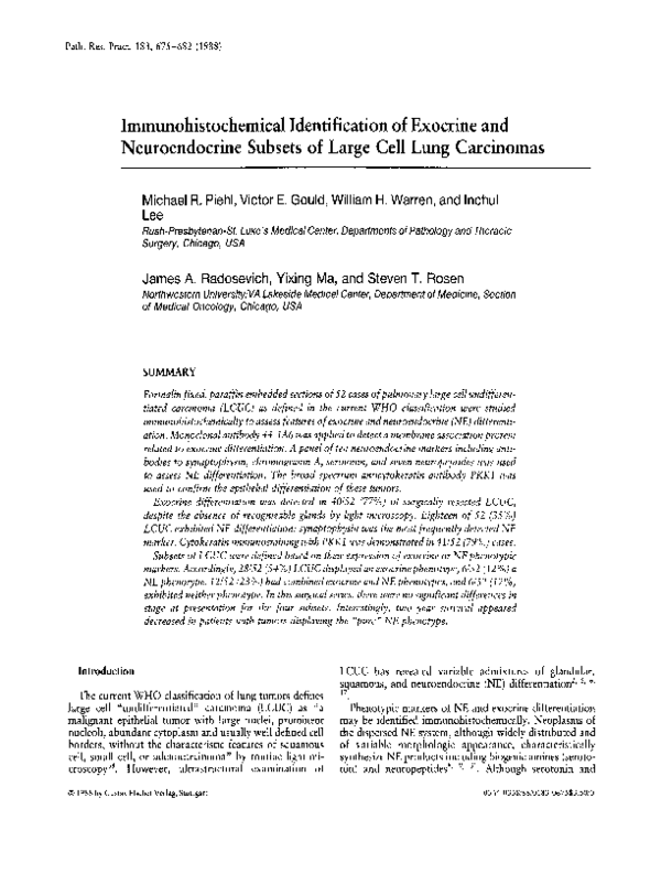 (PDF) Immunohistochemical Identification of Exocrine and Neuroendocrine ...