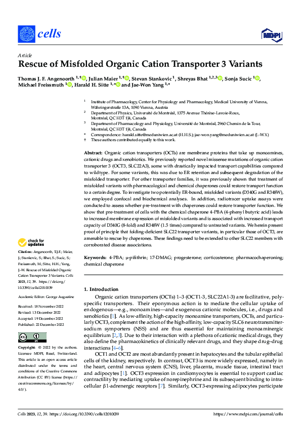(PDF) Rescue of Misfolded Organic Cation Transporter 3 Variants