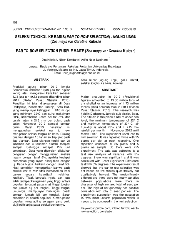 (PDF) SELEKSI TONGKOL KE BARIS (EAR TO ROW SELECTION) JAGUNG UNGU (Zea ...