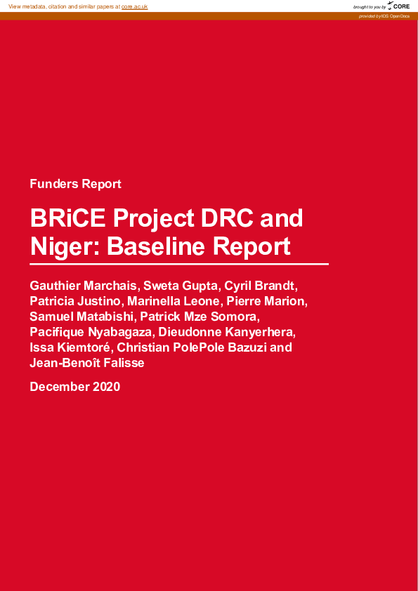 (PDF) Projet BRiCE RDCet Niger: Rapport Initial