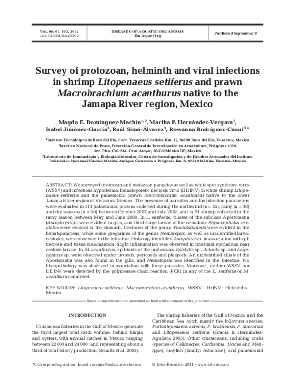 (PDF) Survey of protozoan, helminth and viral infections in shrimp ...