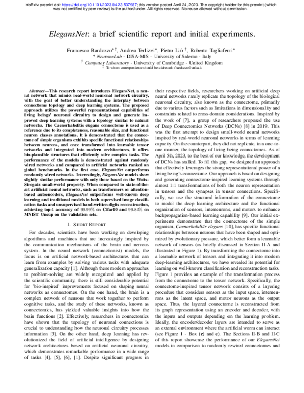 (PDF) ElegansNet: a brief scientific report and initial experiments