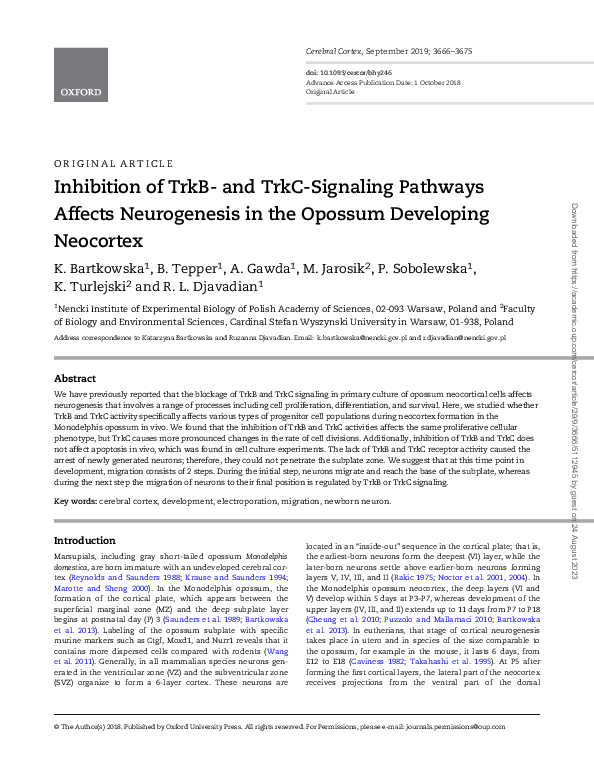 (PDF) Inhibition of TrkB- and TrkC-Signaling Pathways Affects ...