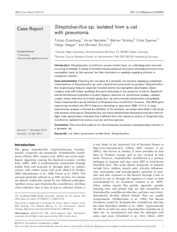 (PDF) Streptobacillus sp. isolated from a cat with pneumonia