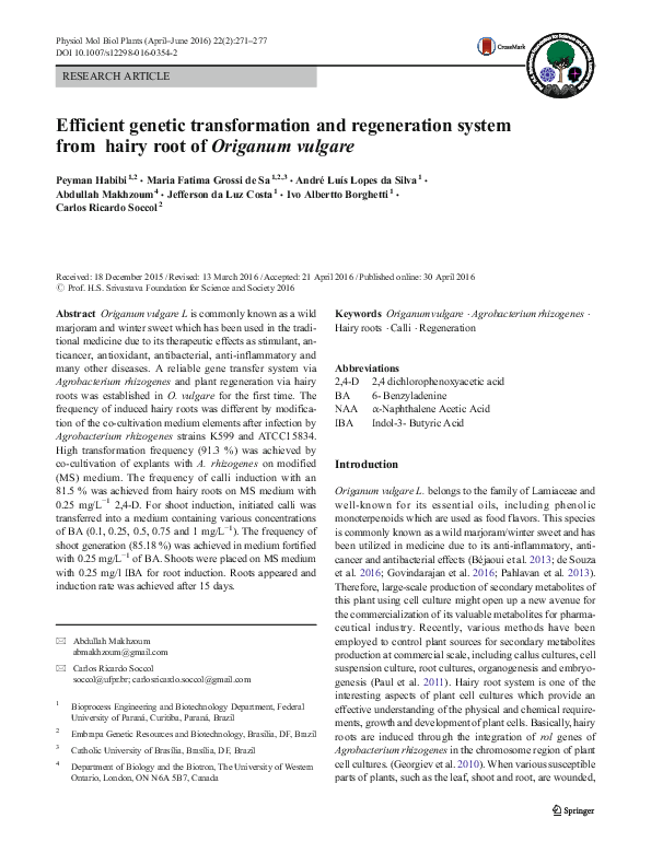 (PDF) Efficient genetic transformation and regeneration system from hairy root of Origanum ...