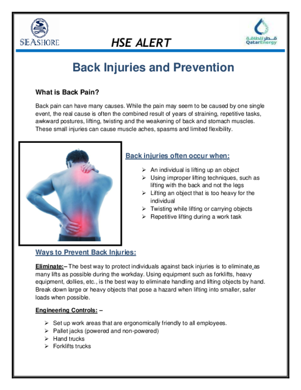 (PDF) Back Injuries and Prevention