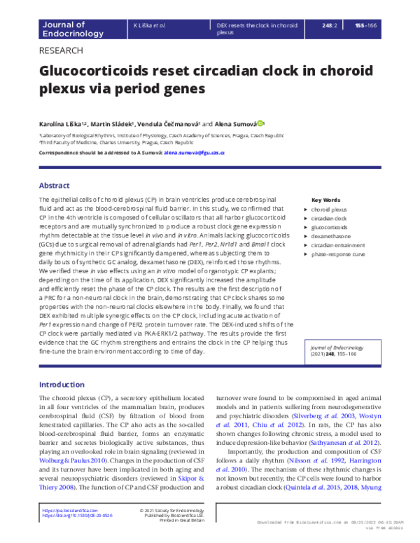 (PDF) Glucocorticoids reset circadian clock in choroid plexus via ...