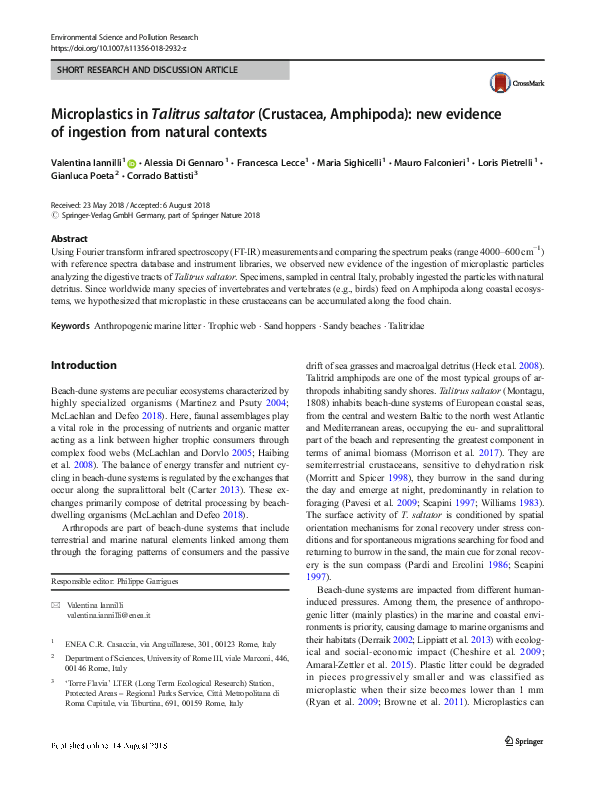 (PDF) Microplastics in Talitrus saltator (Crustacea, Amphipoda): new ...