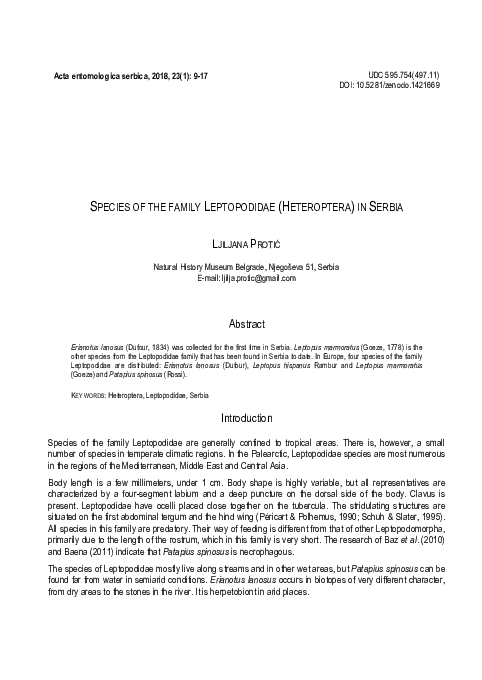 (PDF) Species of the Family Leptopodidae (Heteroptera) in Serbia