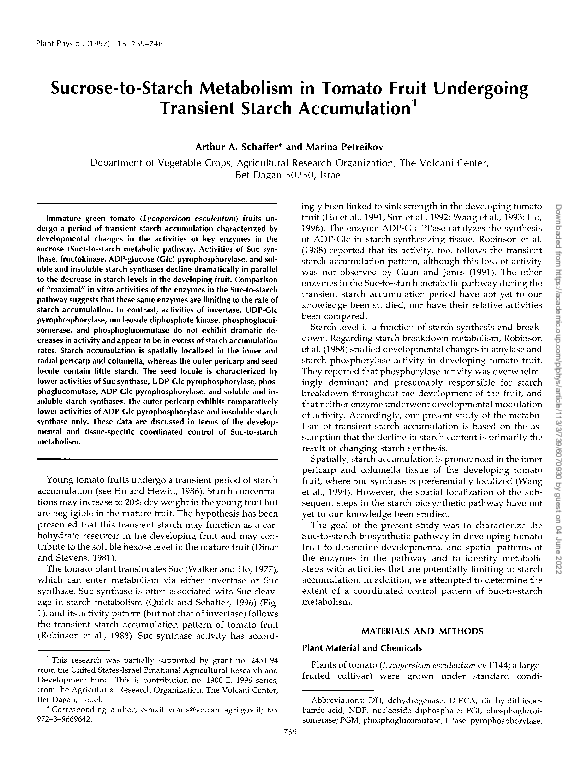 (PDF) Sucrose-to-Starch Metabolism in Tomato Fruit Undergoing Transient ...
