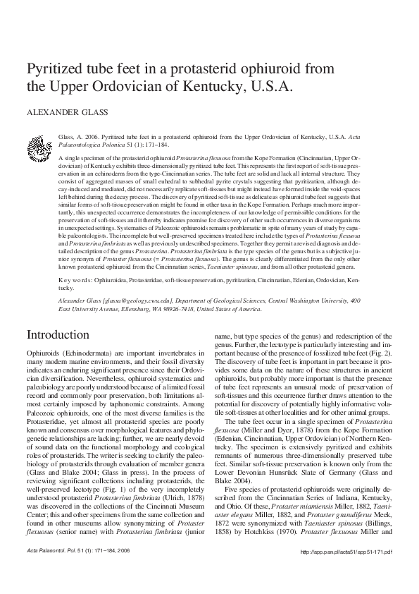 (PDF) Pyritized tube feet in a protasterid ophiuroid from the Upper ...