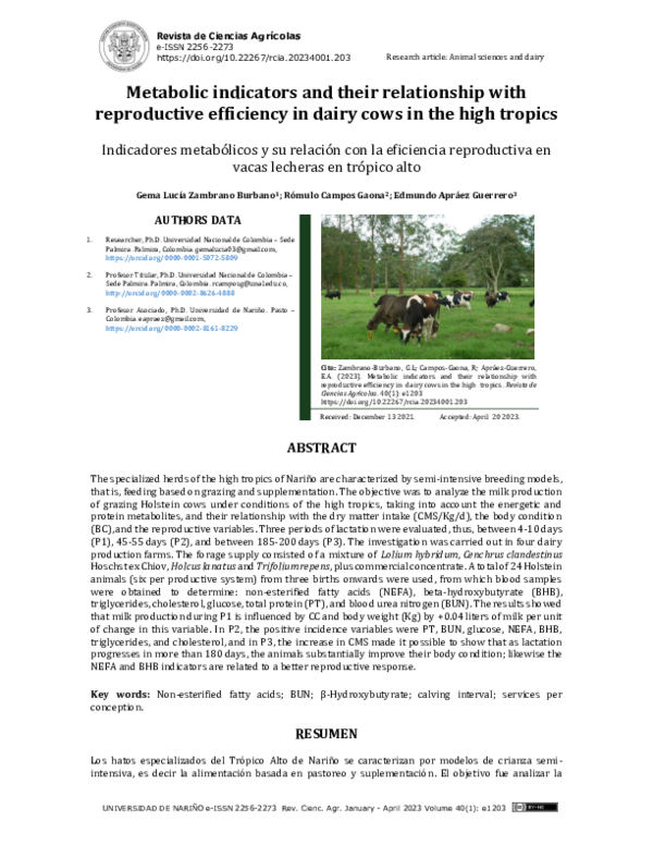 (PDF) Metabolic indicators and their relationship with reproductive efficiency in dairy cows in ...
