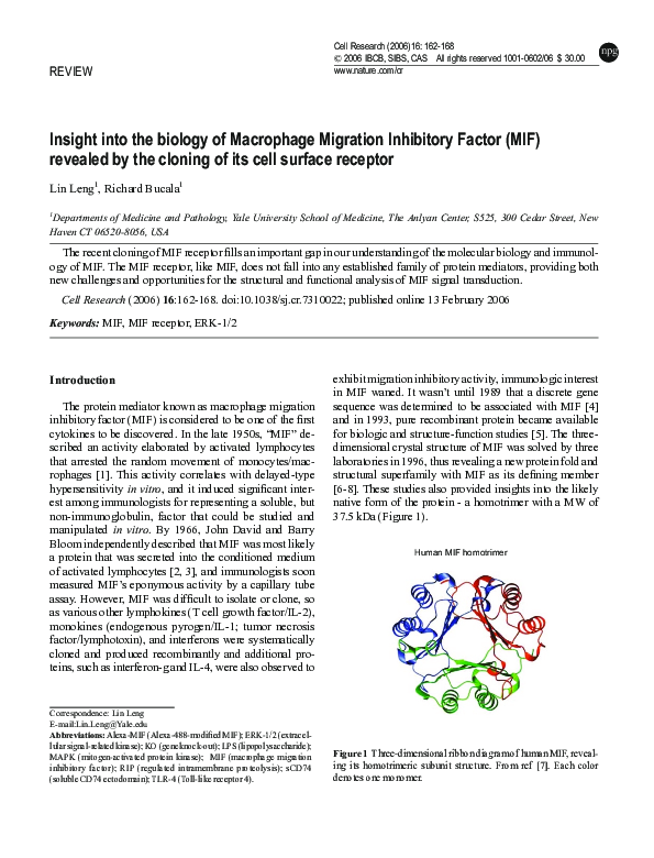 (PDF) Insight into the biology of Macrophage Migration Inhibitory ...