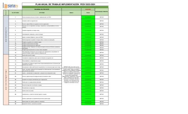 (PDF) PLAN ANUAL DE TRABAJO IMPLEMENTACION PESV 2023 2024