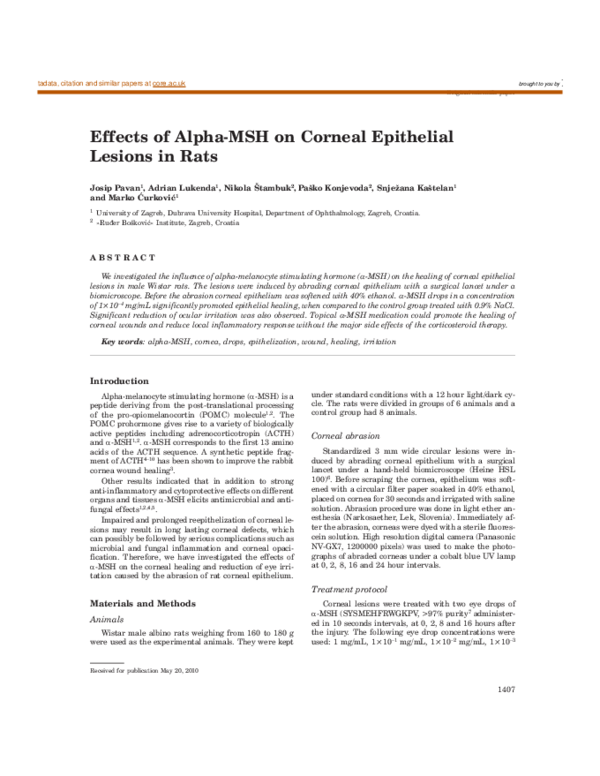 (PDF) Effects of alpha-MSH on corneal epithelial lesions in rats